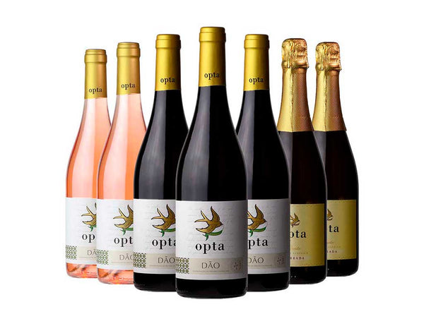 Opta tasting box – Garrafeira da Ilha