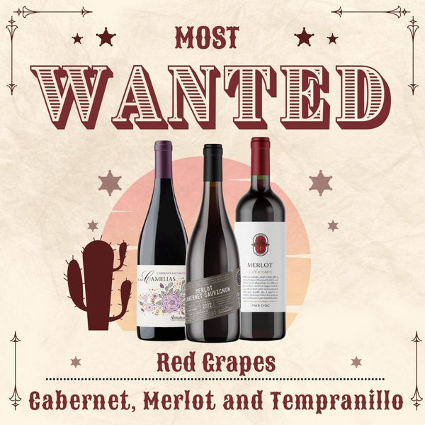 Most Wanted Red 12 bottles case – Garrafeira da Ilha